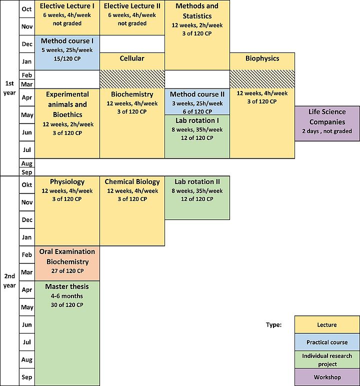 Structure of the program - Limes-Institut-Bonn